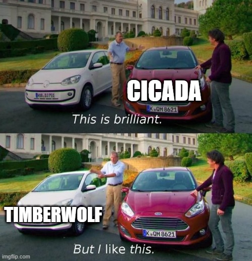 This Is Brilliant But I Like This - Imgflip