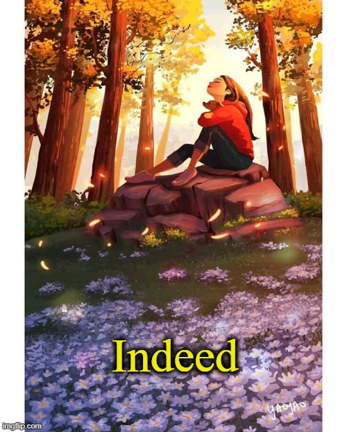 Indeed. - Imgflip