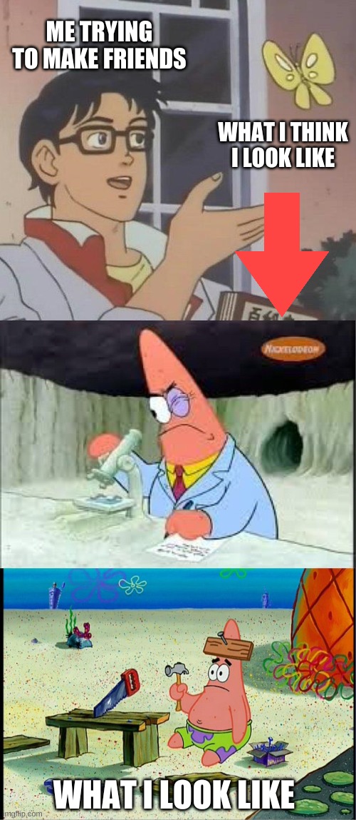 Image Tagged In Memes is This A Pigeon patrick Smart Dumb Imgflip