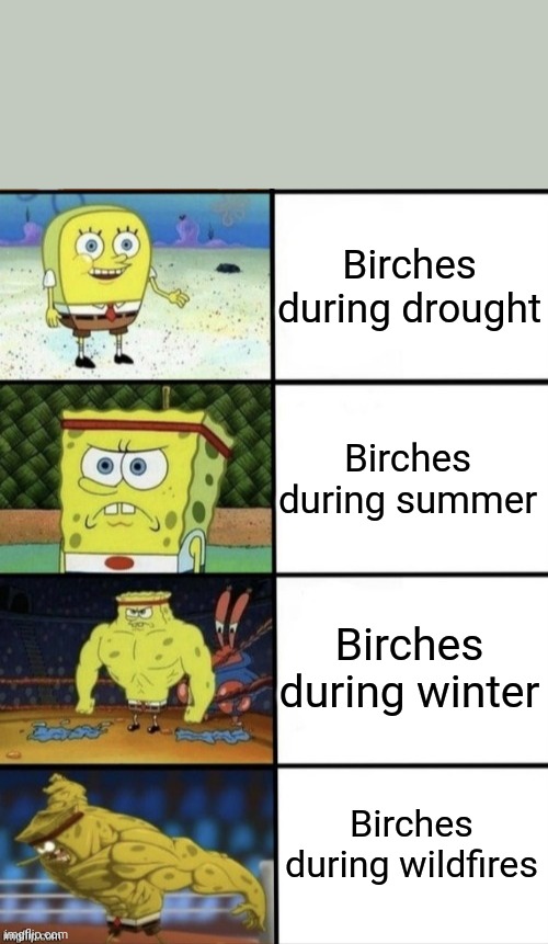 SpongeBob Strength - Imgflip