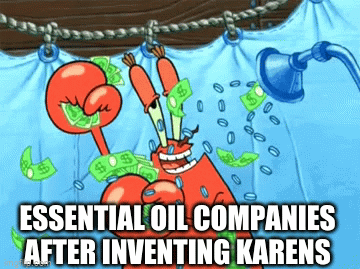 It's a foolproof business plan - Imgflip