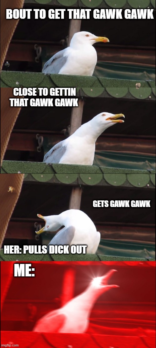 find the hidden images - Imgflip