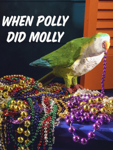 When Polly grew tired of her cracker diet, a little bird told her about ...