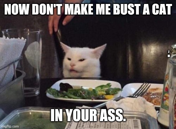 Salad cat - Imgflip