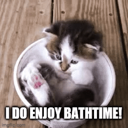 Bathtime! - Imgflip