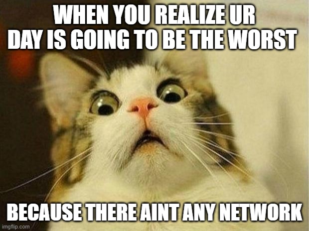 Scared Cat Meme - Imgflip