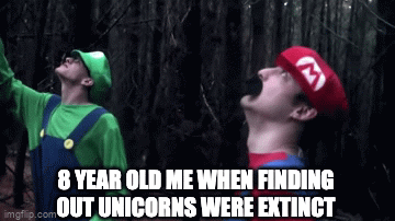 WHYYYYyYyYyyyyyyyyyyyy.... - Imgflip