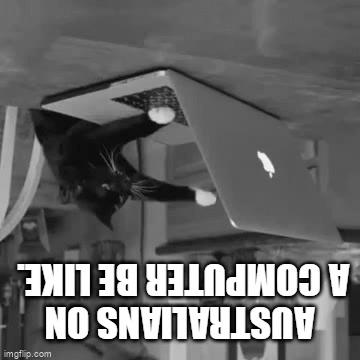 Just typing, bois - Imgflip