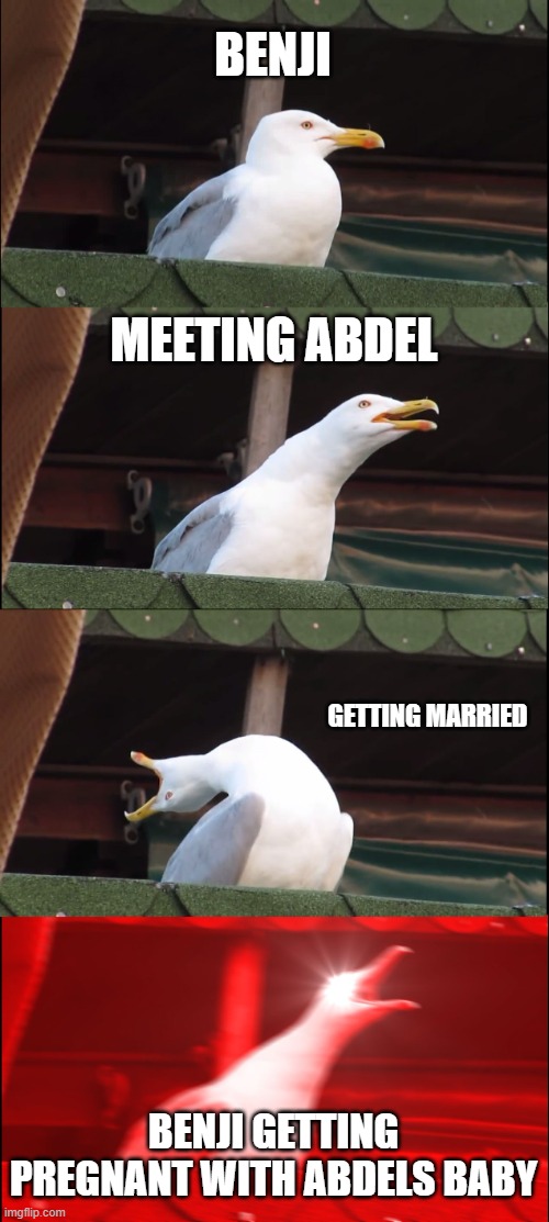 Inhaling Seagull Meme - Imgflip