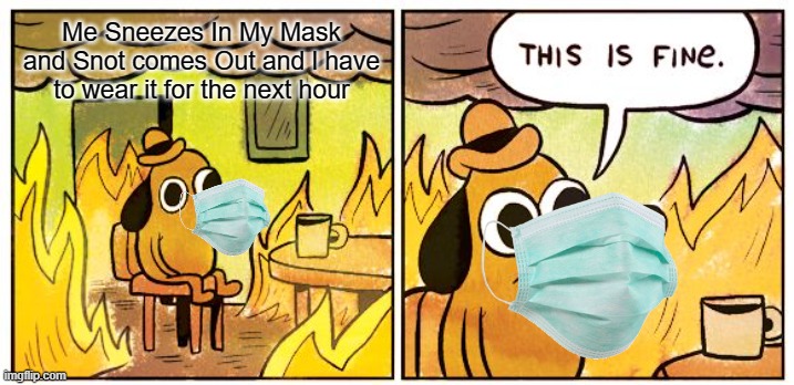 This Is Fine Meme - Imgflip
