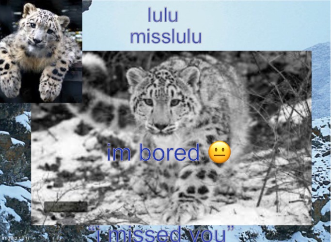 Image tagged in misslulu s announcement template snow leopard version ...