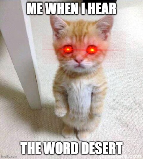 Cute Cat Meme - Imgflip