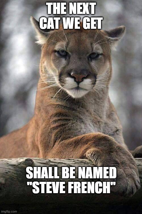 mountain lion - Imgflip