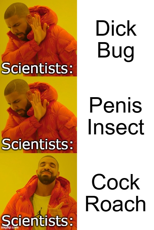 Image tagged in memes,drake hotline bling,scientist - Imgflip