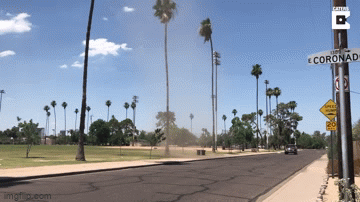Dust devil lol - Imgflip
