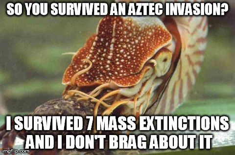 Image tagged in blas nautilus - Imgflip