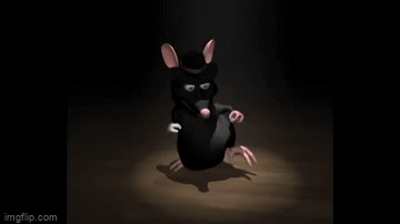 Rat to cure you boredom - Imgflip