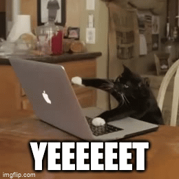 yeeting random leters ar ya? - Imgflip