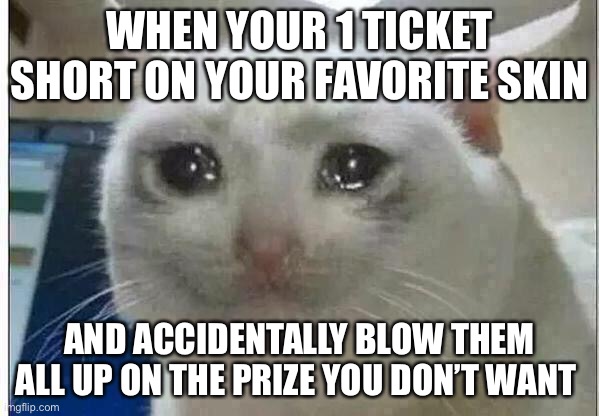 crying cat - Imgflip