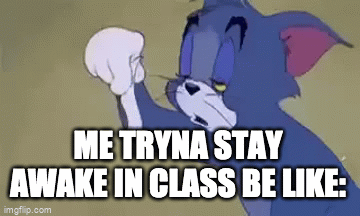 Me tryna stay awake in class - Imgflip