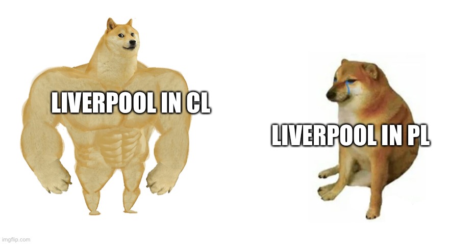 swole doge - Imgflip