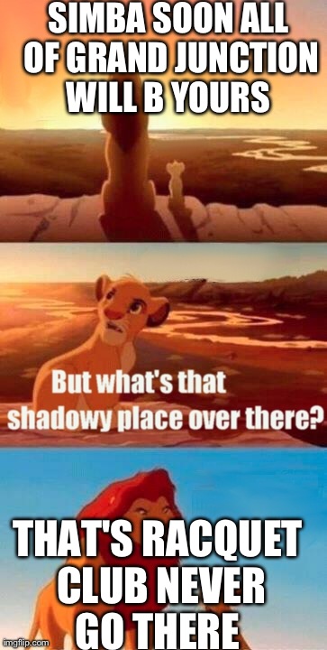 Simba Shadowy Place Meme - Imgflip