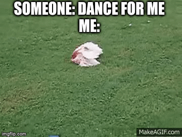 Do the chicken dance! - Imgflip