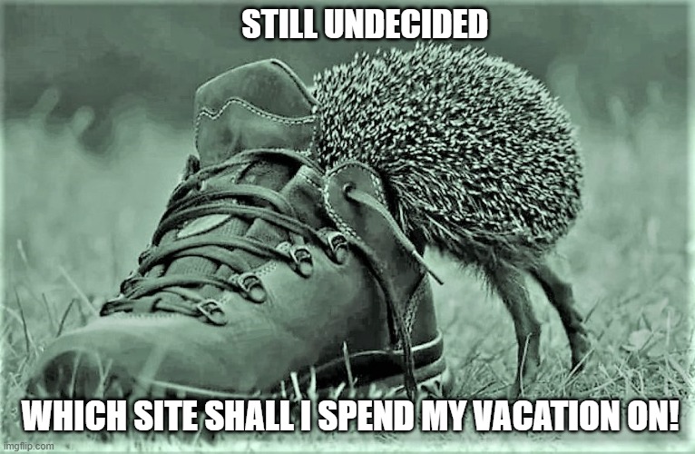 Post Covid Era - Imgflip