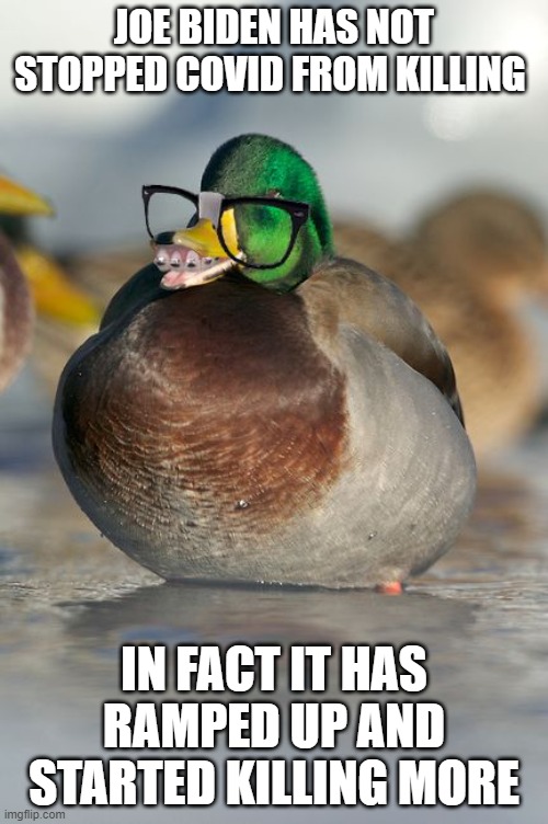 Factual Advice Mallard - Imgflip