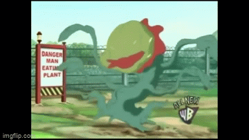 Dancing flower - Imgflip