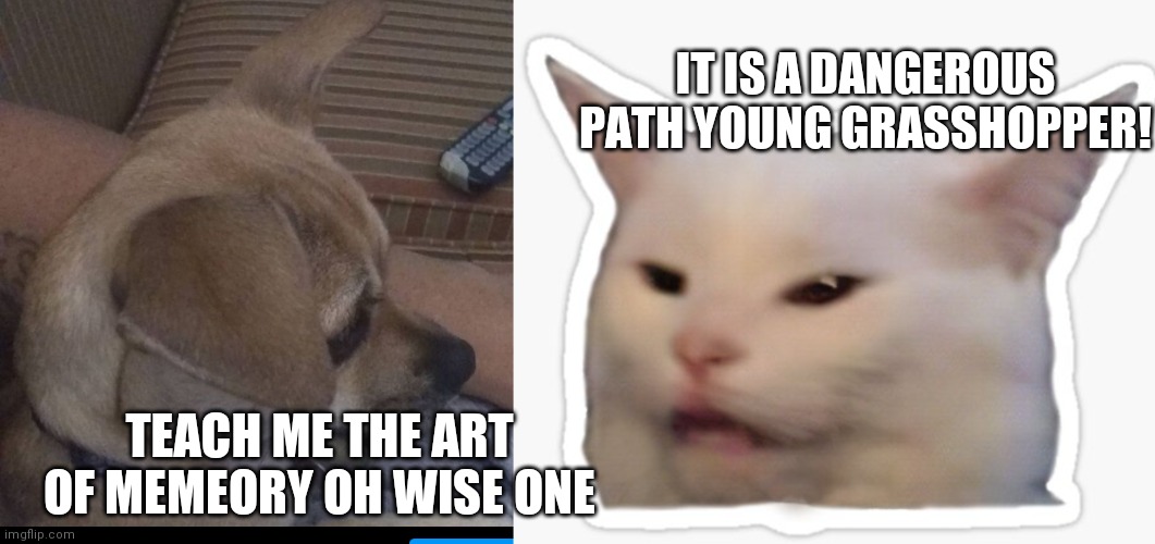 The art of memeory - Imgflip