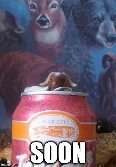 Image tagged in goat - Imgflip