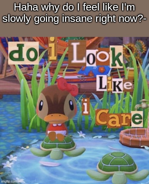 Do I look like I care - Imgflip