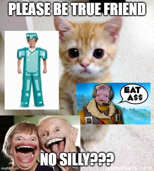 Cute Cat Meme - Imgflip