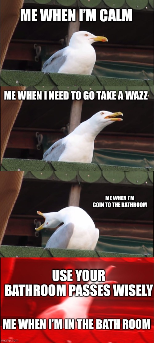 Inhaling Seagull Meme - Imgflip