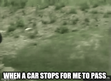 When a car stops for me to pass - Imgflip