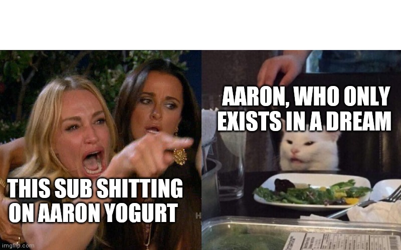 Woman yelling at cat - Imgflip