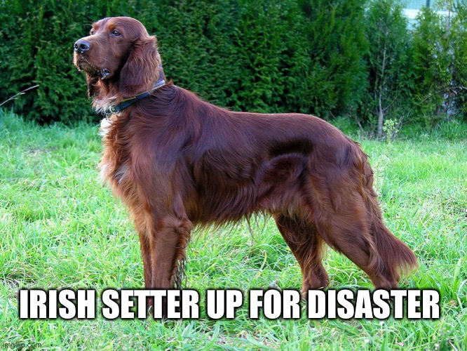 A story that makes you go... WHAT THE HECK - Imgflip