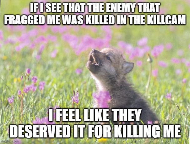 Baby Insanity Wolf Meme - Imgflip