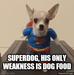 SuperDOG! - Imgflip