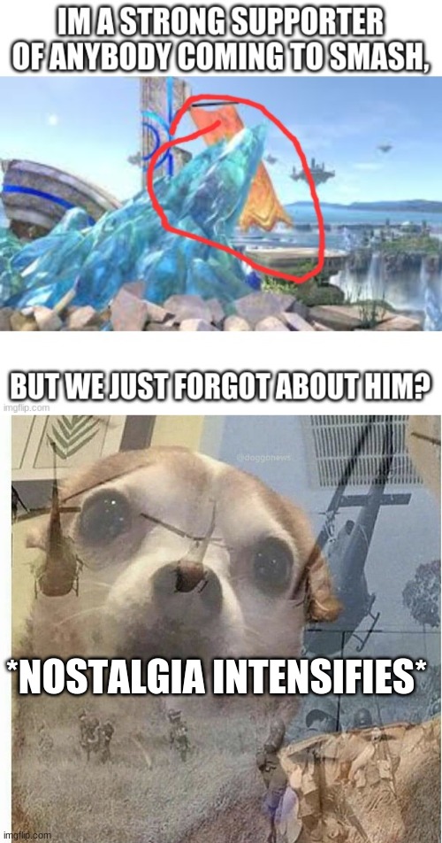 Image tagged in ptsd chihuahua - Imgflip