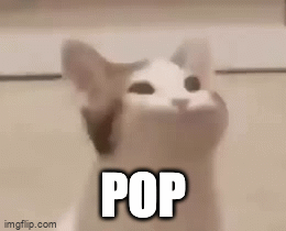 poppopopopopopopooppo - Imgflip
