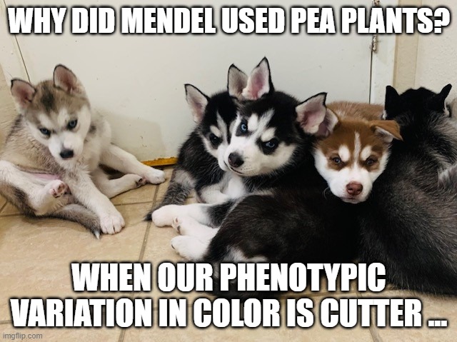 Alejandra Barajas - Imgflip