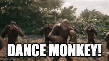 Funny Monkey Animated Gif