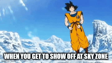 going to sky zone be like - Imgflip