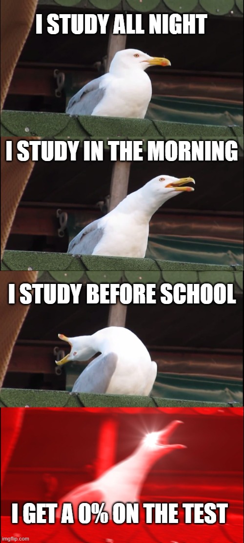 Inhaling Seagull Meme - Imgflip