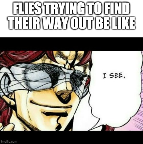 kakyoin i see - Imgflip