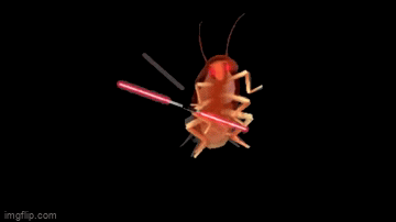 darth roach - Imgflip