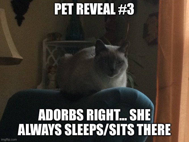 For real... - Imgflip