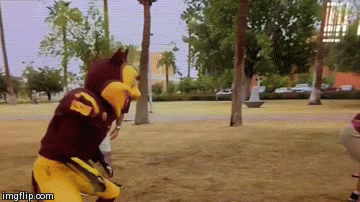 Animated GIF - Imgflip